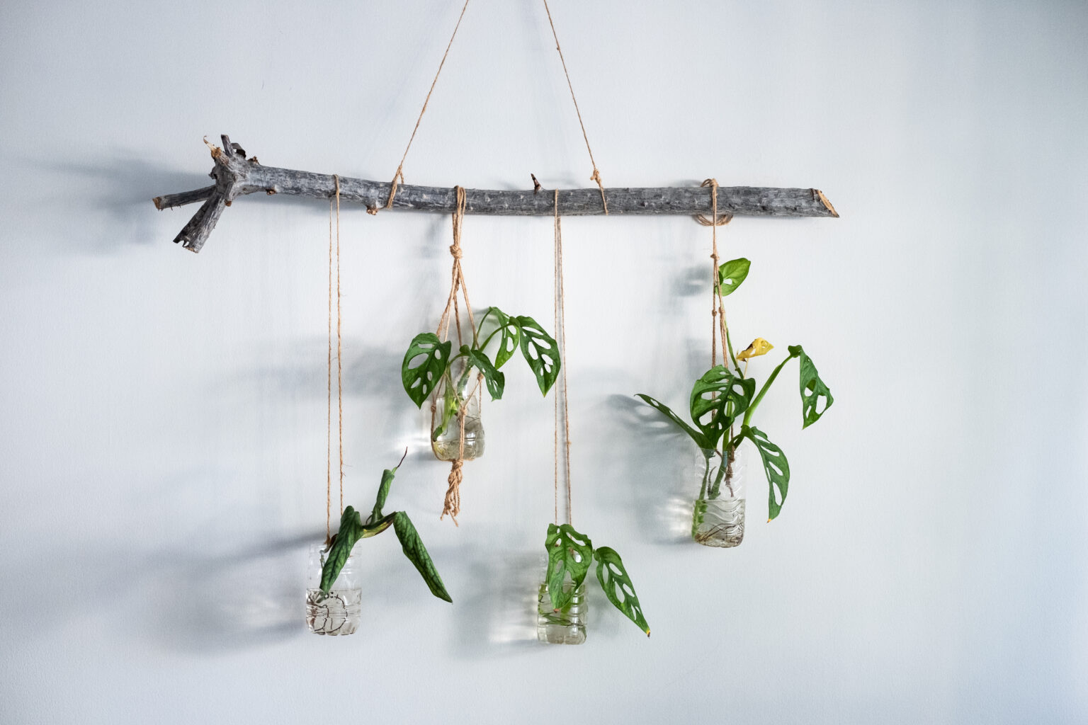 Obiecte din materiale reciclabile. Idei creative și practice