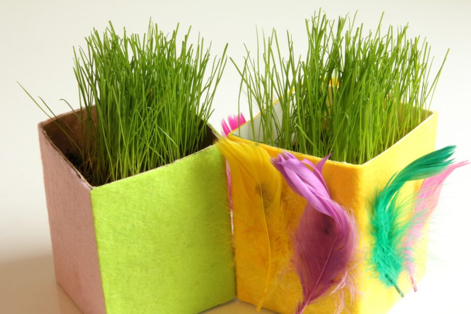 Obiecte din materiale reciclabile. Idei creative și practice